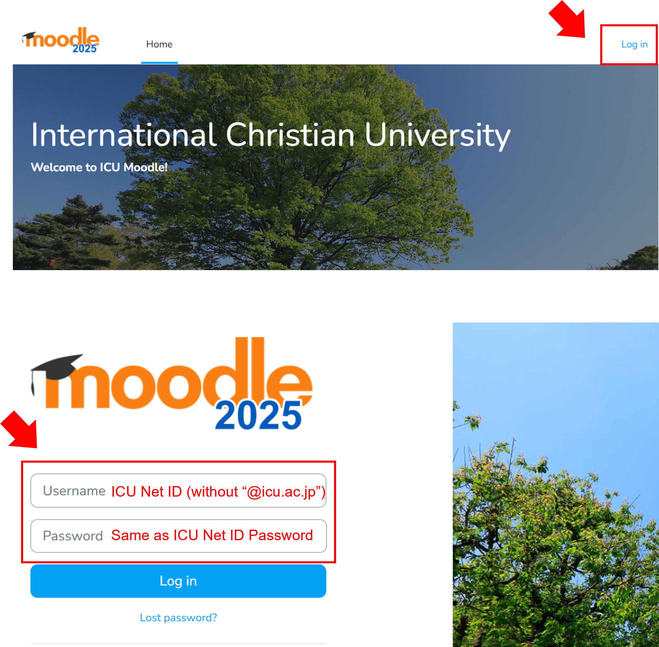 Moodle 2025: はじめてMoodleを利用する学生へ | Moodle 2025